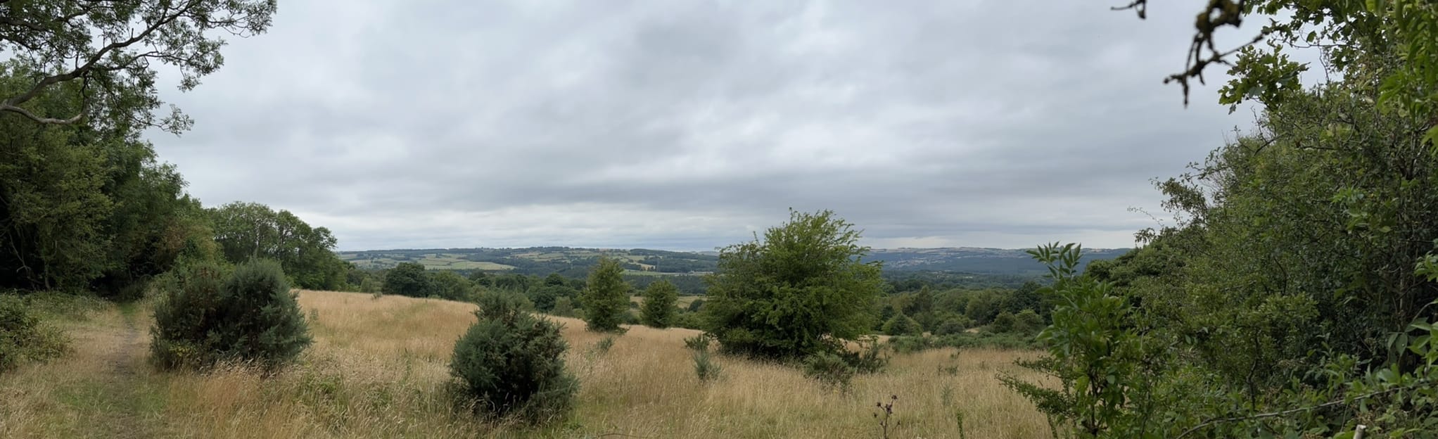 Dipton Circular, County Durham, England - 45 Reviews, Map | AllTrails