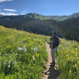 Schofield Pass OHV Trail, Colorado - 63 Reviews, Map | AllTrails