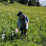 Schofield Pass OHV Trail, Colorado - 63 Reviews, Map | AllTrails