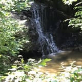 Avalon Loop Trail, Maryland - 293 Reviews, Map | AllTrails