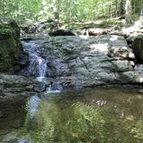 Avalon Loop Trail, Maryland - 293 Reviews, Map | AllTrails