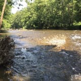 Avalon Loop Trail, Maryland - 293 Reviews, Map | AllTrails