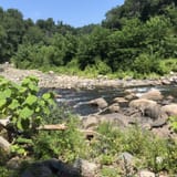 Avalon Loop Trail, Maryland - 293 Reviews, Map | AllTrails