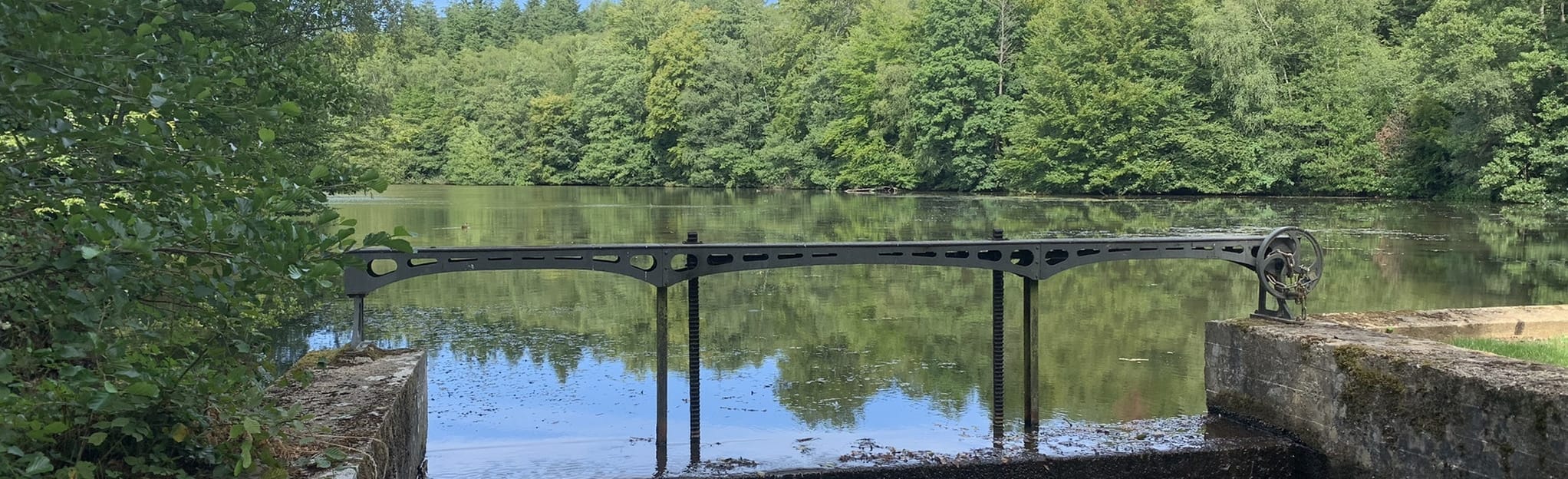 Furner's Green, Ann Wood and Sheffield Forest Circular: 27 Fotos - East ...