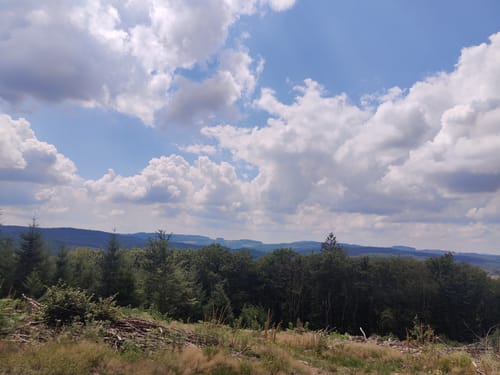 2023 Best 10 Forest Trails in Morvan Regional Nature Park | AllTrails