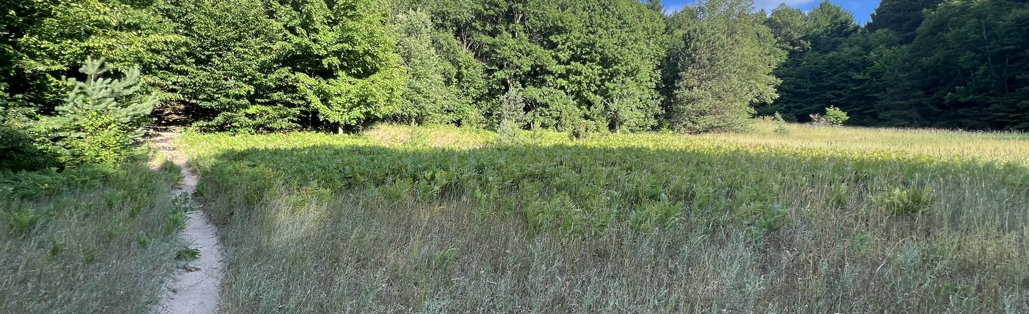 AllTrails | Windy Moraine Loop: 124 Reviews, Map - Michigan