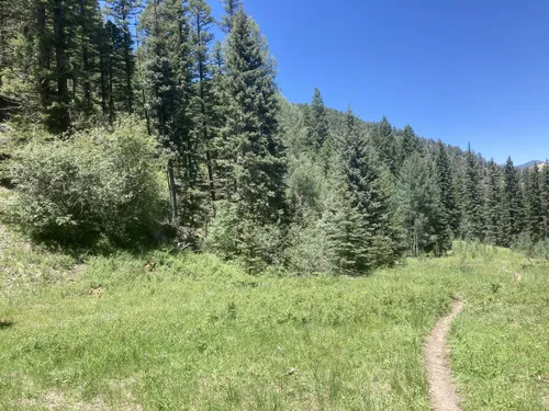 10 Best Trails and Hikes in Questa | AllTrails