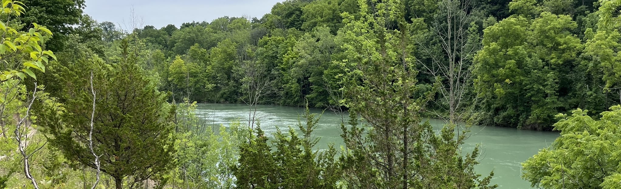 Twelve Trail and Laura Secord Loop: 166 Reviews, Map - Ontario, Canada ...