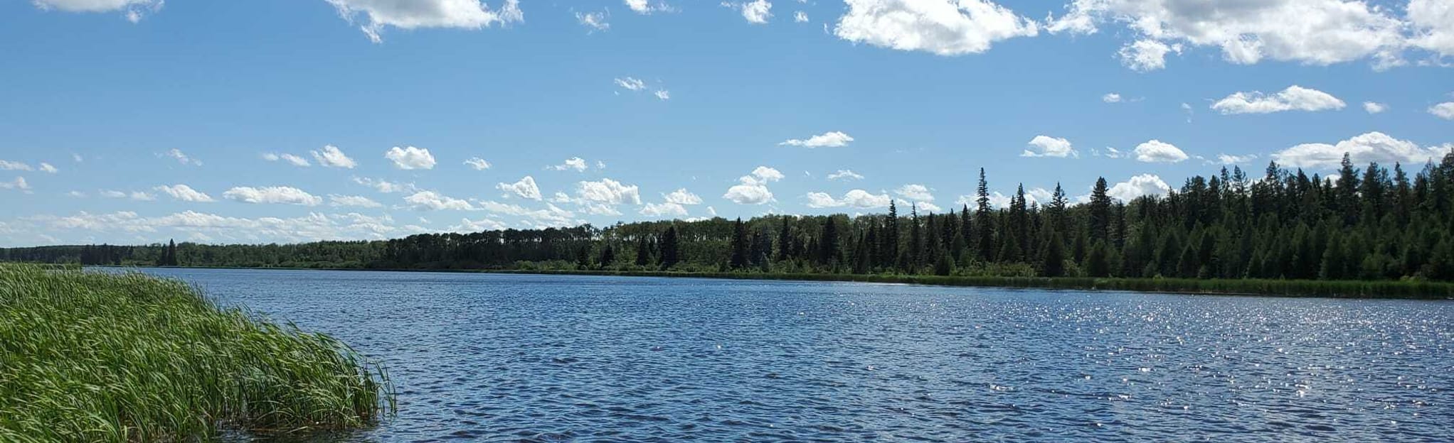 Long Lake Trail , Manitoba, Canada - 7 Reviews, Map | AllTrails