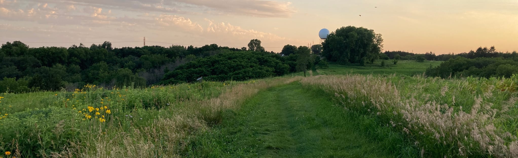 Prairie Loop Trail, Wisconsin - 48 Reviews, Map | AllTrails