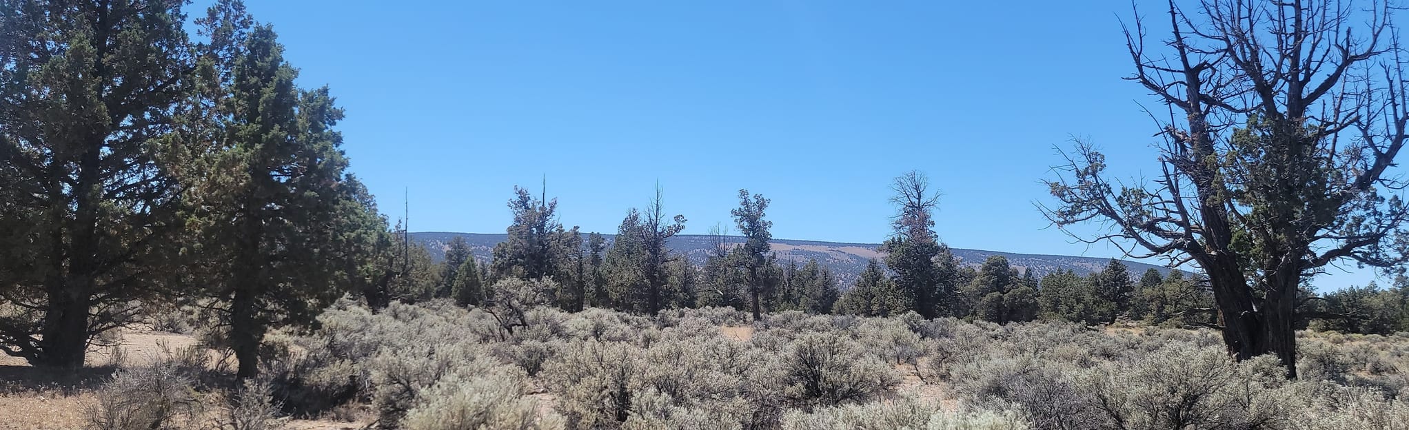 Badlands Rock Trail, Oregon - 65 Reviews, Map | AllTrails