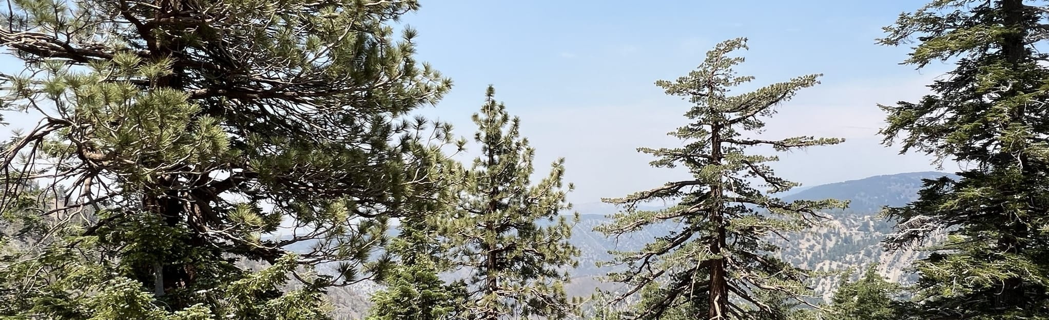 Angeles Crest Scenic Byway - California | AllTrails
