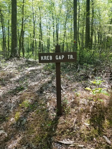 Best Hikes and Trails in Snyder-Middleswarth Natural Area | AllTrails