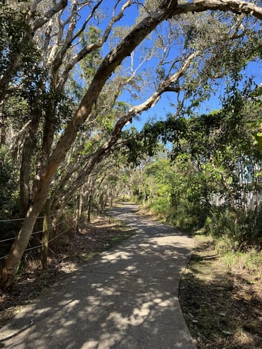 Best Hikes and Trails in Marcoola | AllTrails