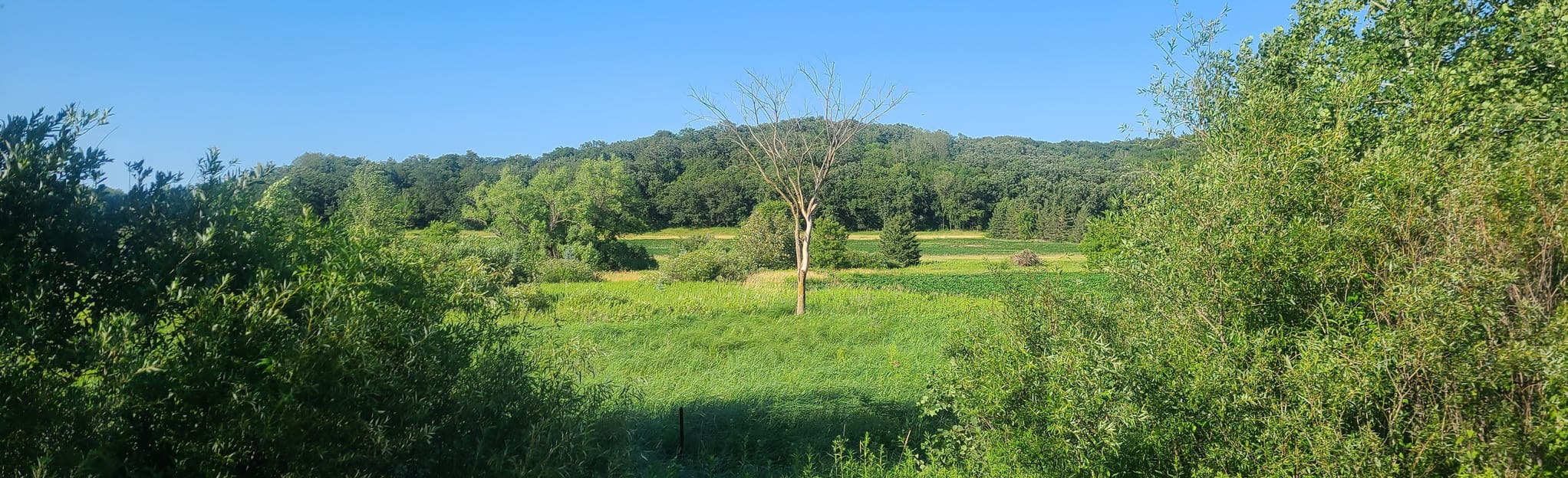 Lake Wobegon Trail: 164 Reviews, Map - Minnesota | AllTrails