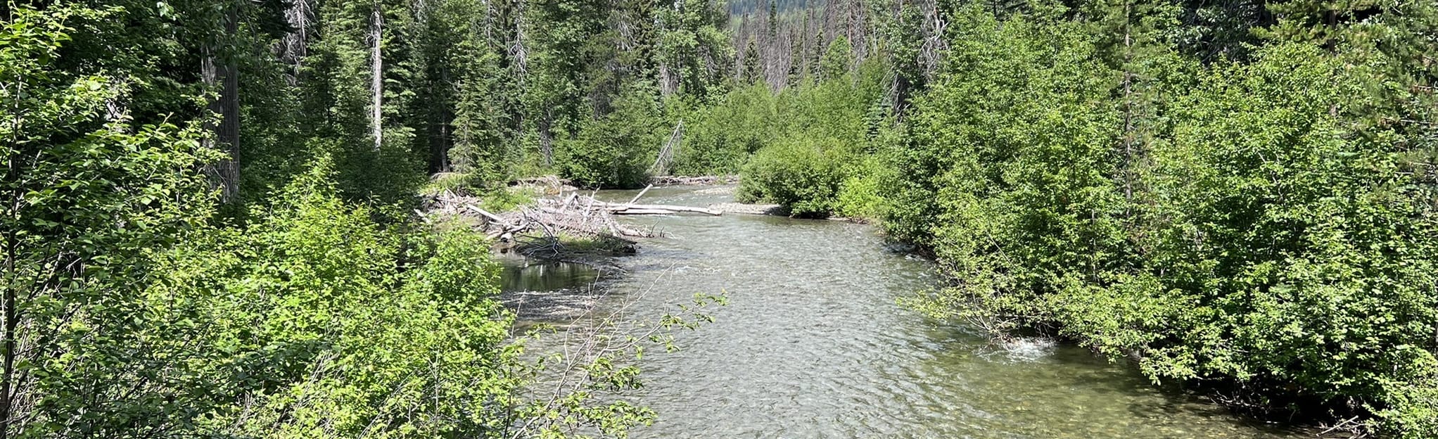 Beaver Pond Loop: 26 Reviews, Map - British Columbia, Canada | AllTrails