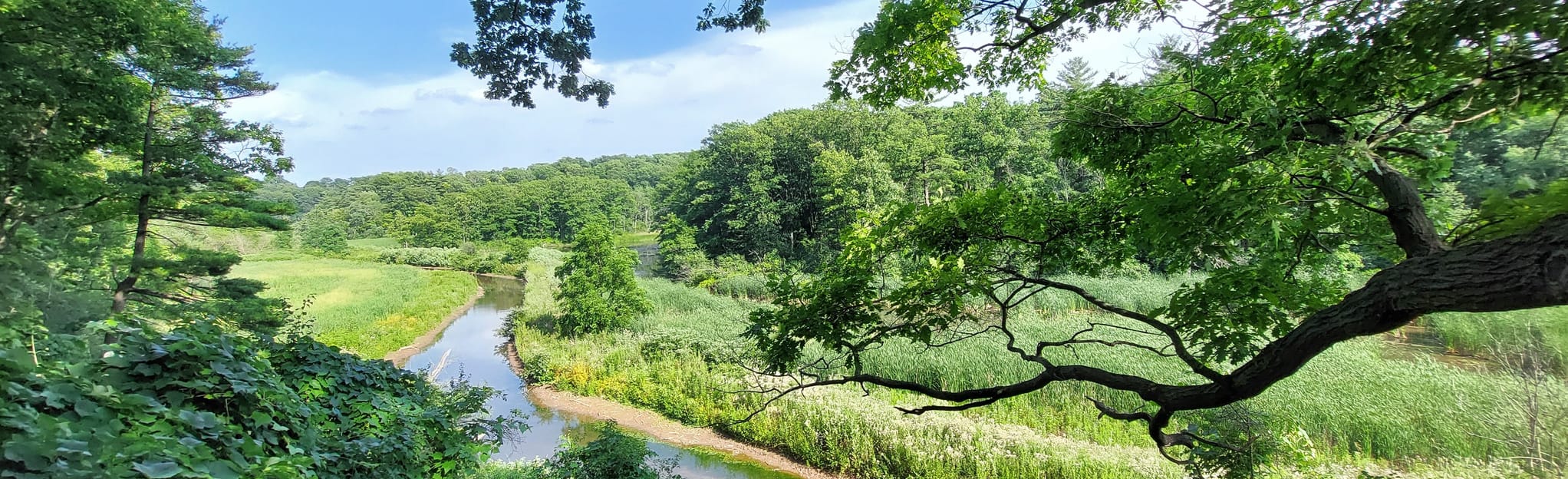 Friendship Trail Loop from Kerns Road, Ontario, Canada - 415 Reviews ...