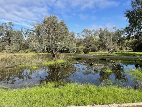 Best Hikes and Trails in Canning River Regional Park | AllTrails