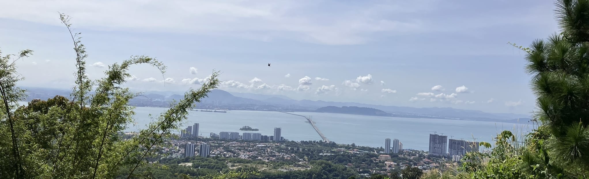 Bukit Paduka - Bukit Relau: 5 Reviews, Map - Penang, Malaysia | AllTrails