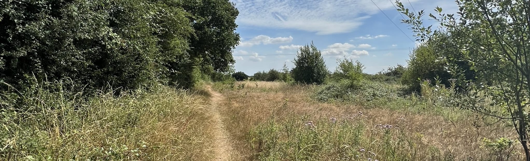 Danbury and Woodham Walter Circular, Essex, England - 54 Reviews, Map ...