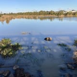 Berwick Springs Wetland Loop, Victoria, Australia - 81 Reviews, Map ...