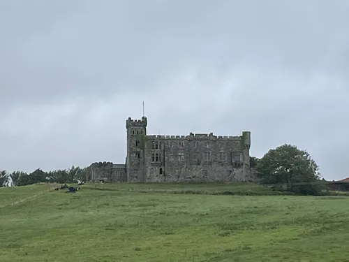 Best Hikes and Trails in Kilbrittain Wood | AllTrails