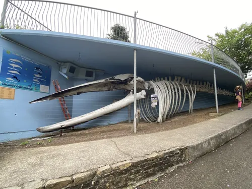 Best Hikes and Trails in Kilbrittain Wood | AllTrails