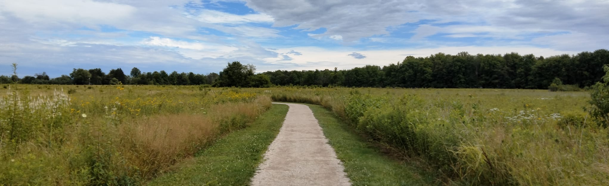 Big Bluestem Trail, Ohio - 520 Reviews, Map | AllTrails