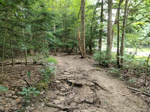 Best 10 Hikes and Trails in South Chagrin Reservation | AllTrails