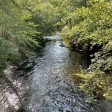 Winding River Park Trail, New Jersey - 452 Reviews, Map | AllTrails