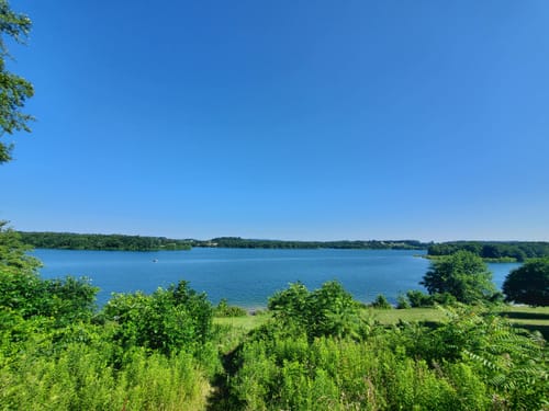 2023 Best Forest Trails in Codorus State Park | AllTrails