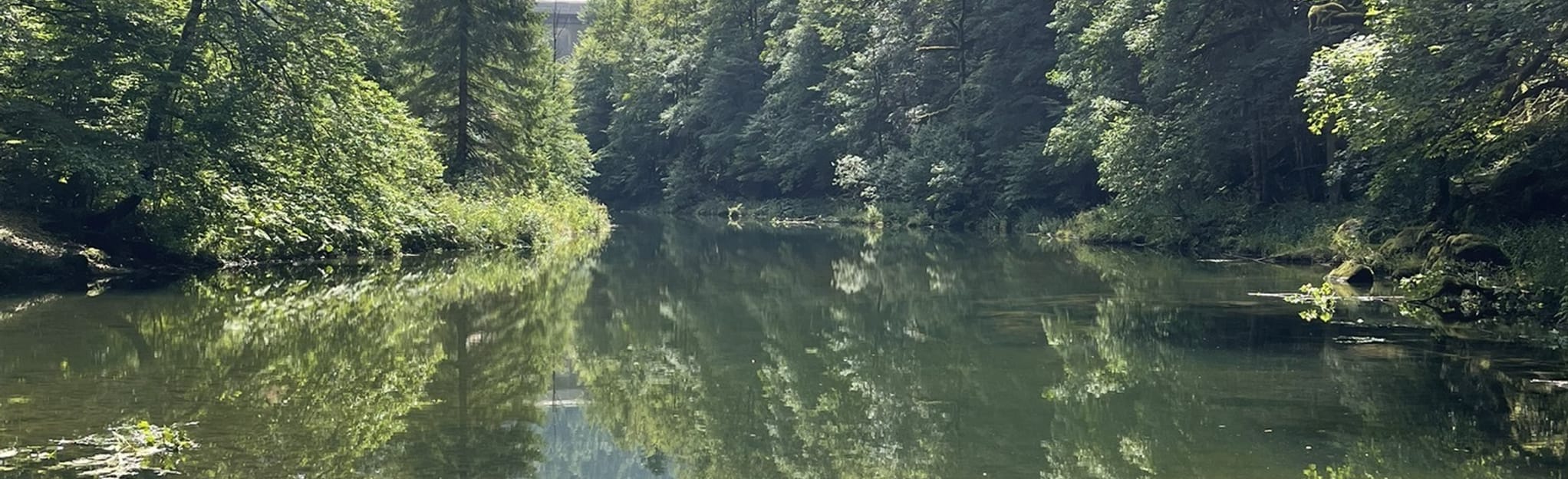 Barrage du Châtelot - Saut-du-Doubs via Les Roches de Moron: 252 foto's ...