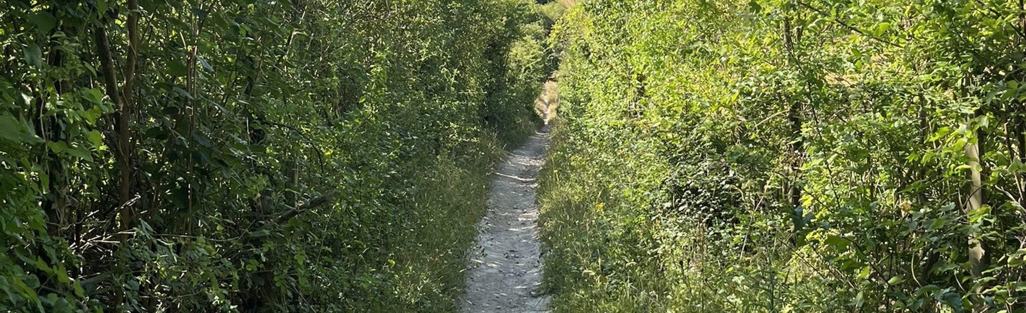 Knockholt and Cudham Circular, Kent, England - 15 Reviews, Map | AllTrails