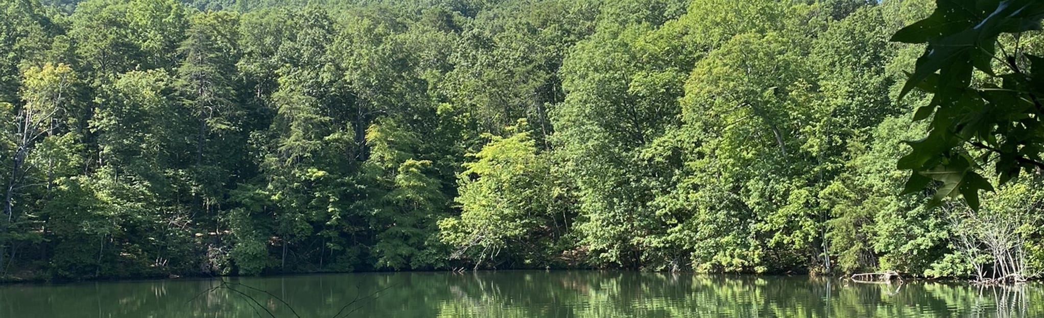 Sulpher Springs Trail to Brissy Ridge Trail Loop, South Carolina - 412 ...