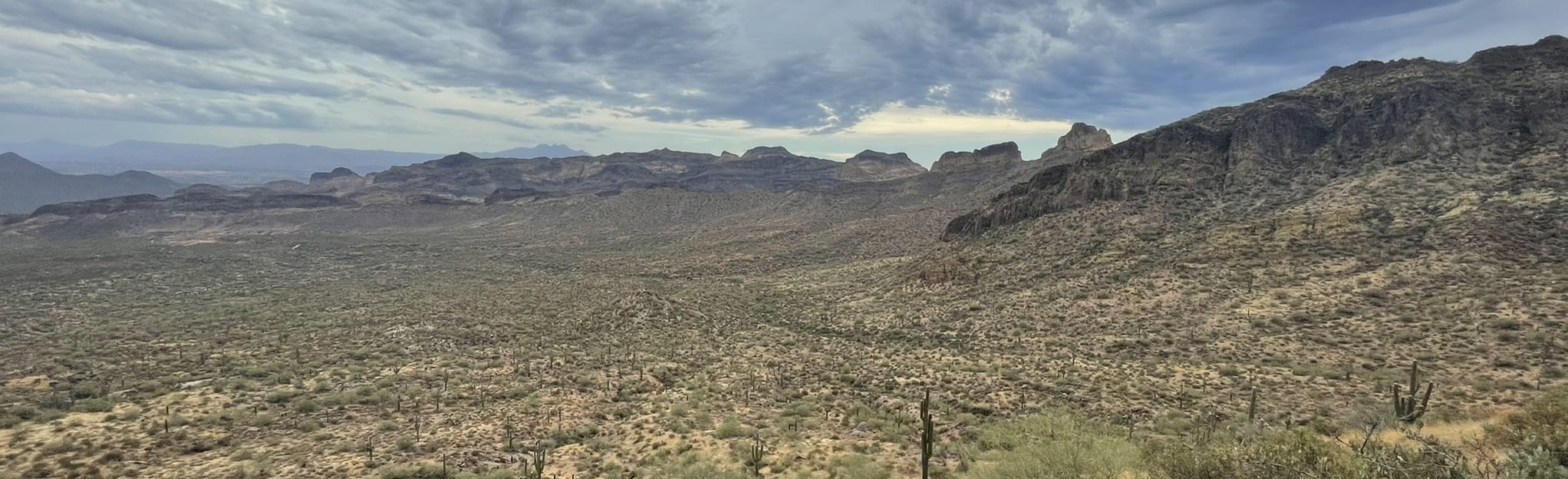 Usery Mountain Meridian Hike: 96 Reviews, Map - Arizona | AllTrails