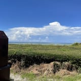 Timpoochee Trail, Florida - 250 Reviews, Map | AllTrails