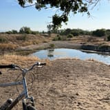 Lewis S Eaton Trail, California - 847 Reviews, Map | AllTrails