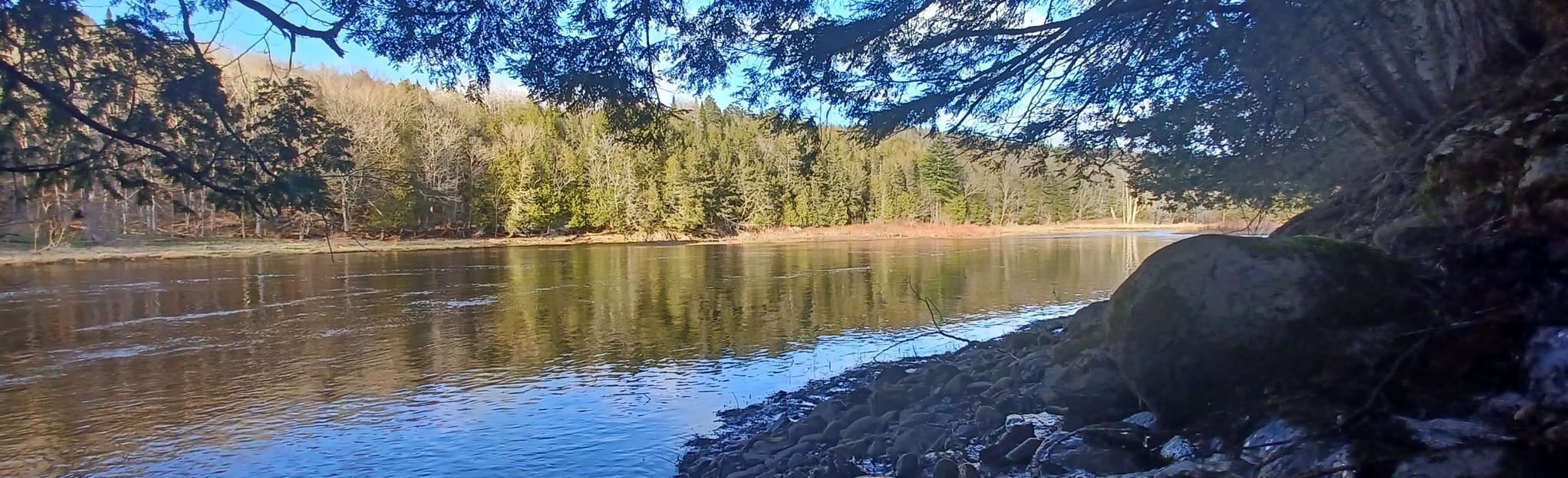 Jim Goltz Forest Loop: 4 Reviews, Map - New Brunswick, Canada | AllTrails