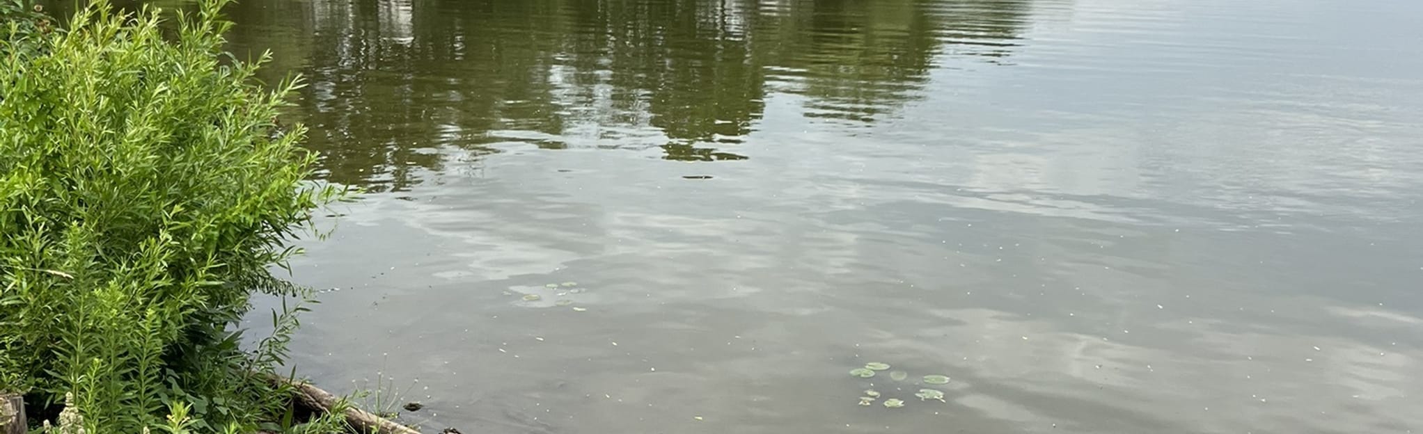 Princess Point (Water Access): 9 Reviews, Map - Ontario, Canada | AllTrails