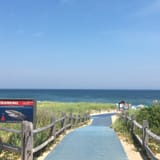 Cape Cod Rail Trail, Massachusetts - 678 Reviews, Map | AllTrails