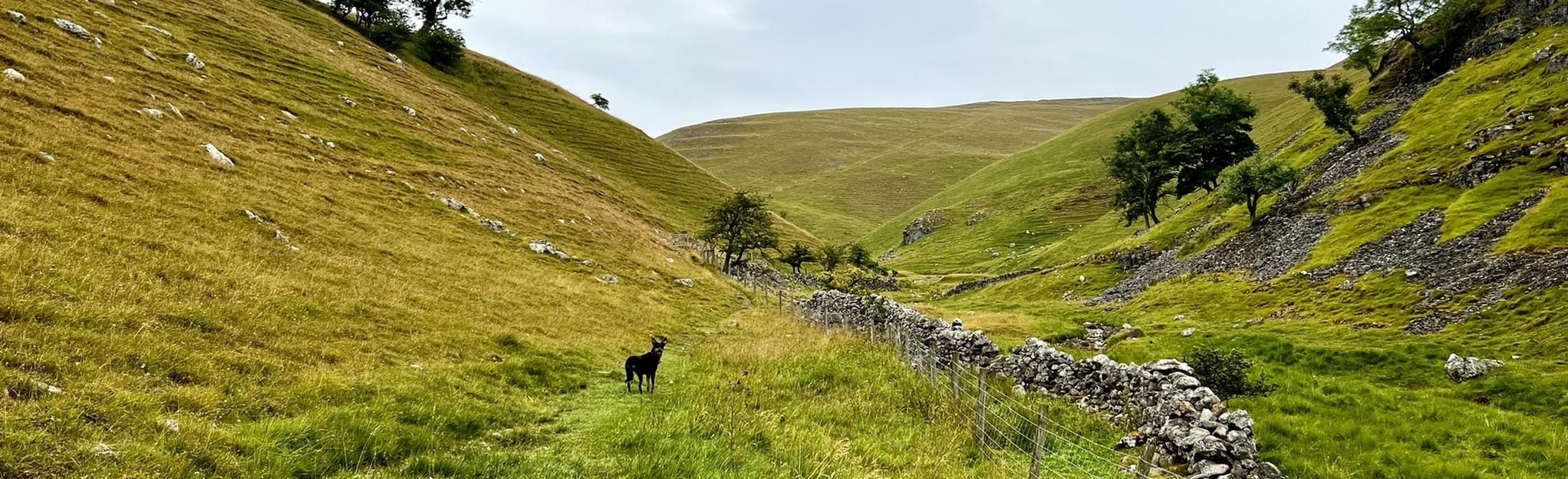 Great Whernside from Kettlewell | Map, Guide - North Yorkshire, England ...