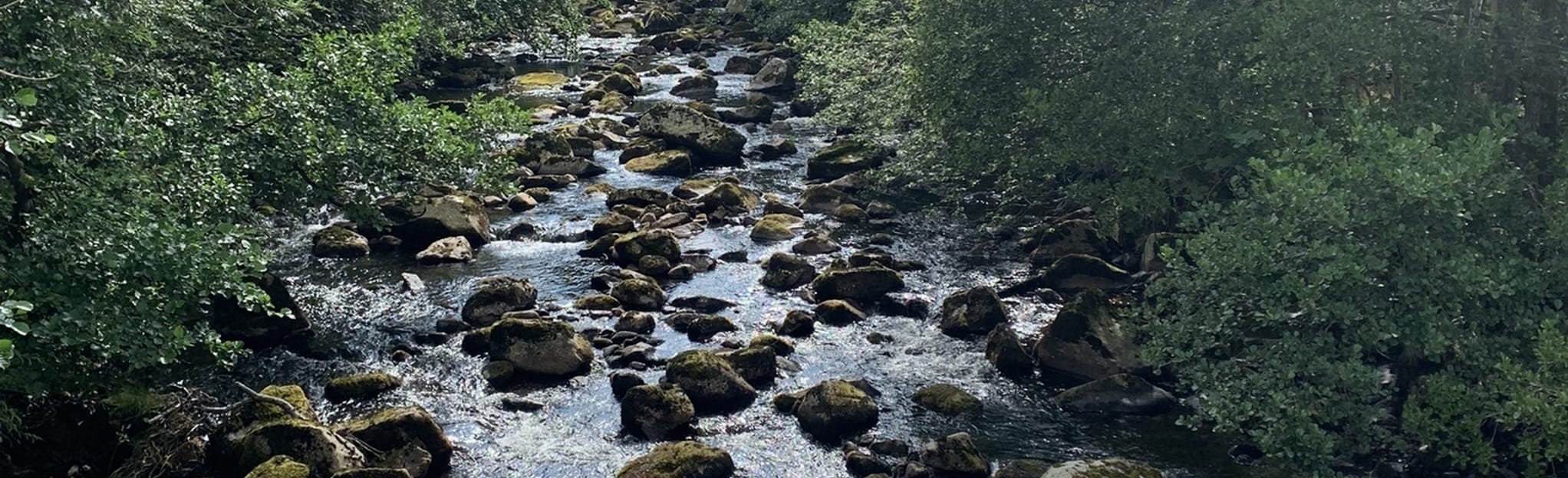 Finzean Water Mills and Feughside Ramble, Aberdeenshire, Scotland - 19 ...