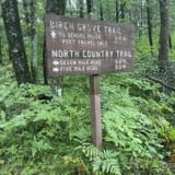 Birch Grove Connector Trail and North Country Trail Loop, Michigan ...
