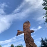 Scolty Hill, Aberdeenshire, Scotland - 102 Reviews, Map | AllTrails