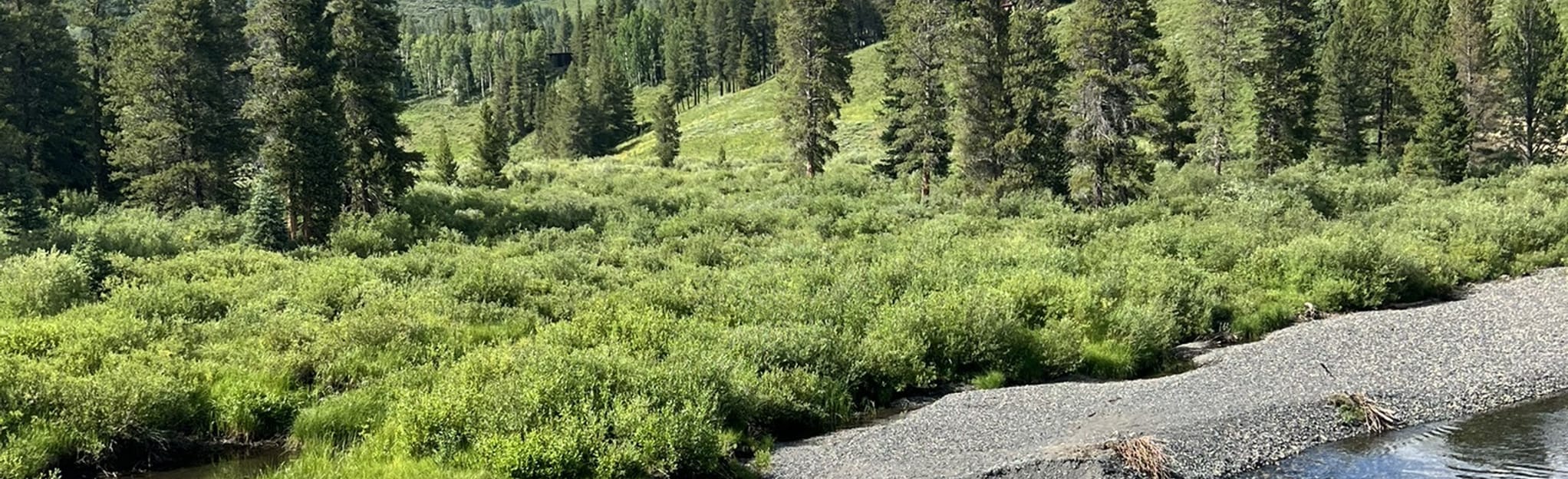 Lower Loop Trail, Colorado - 791 Reviews, Map | AllTrails