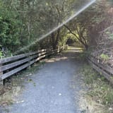 PSE Powerline Trail, Washington - 342 Reviews, Map | AllTrails