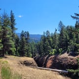 Boulder Cave Trail, Washington - 192 Reviews, Map | AllTrails