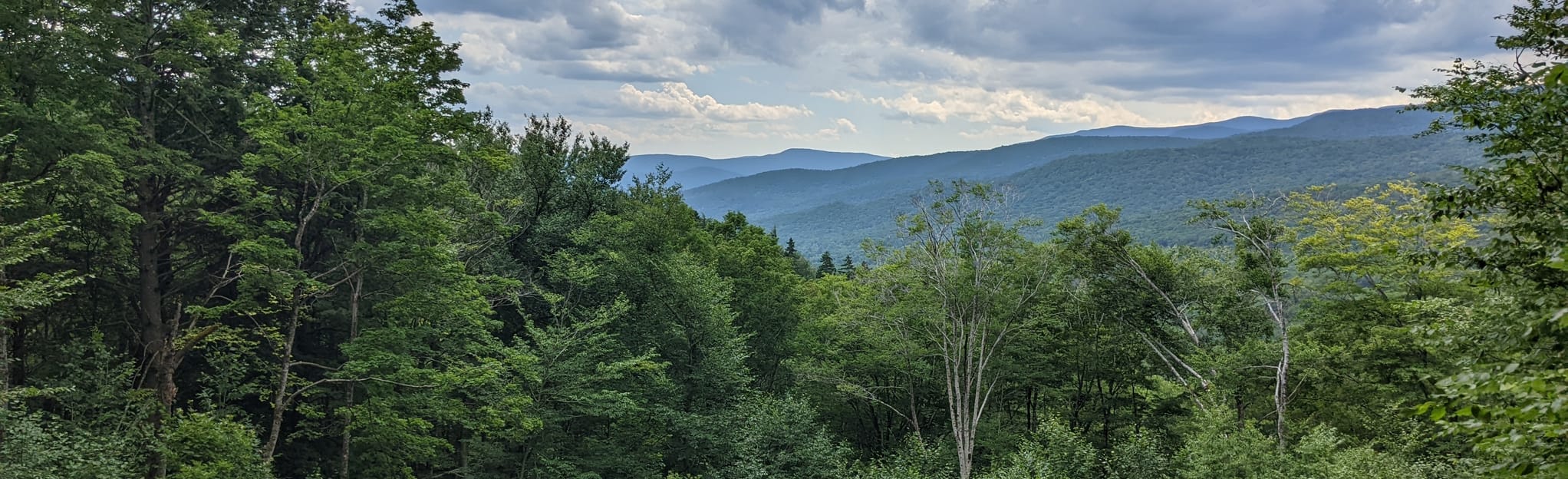 The Flume Gorge Trail: 3,920 Reviews, Map - New Hampshire | AllTrails