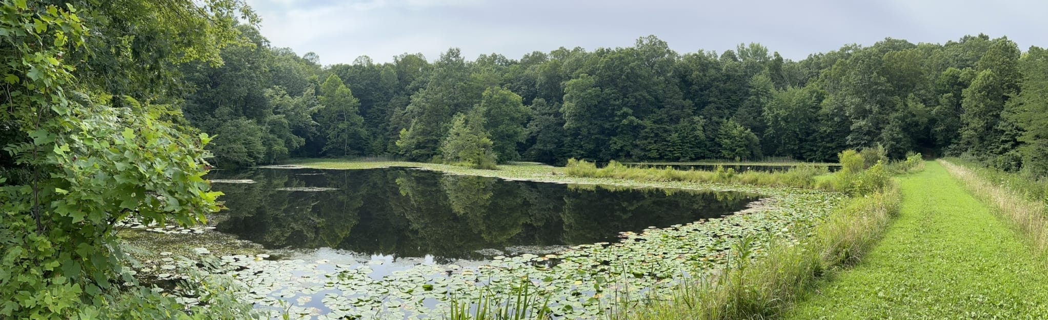 Alley Park: 205 Reviews, Map - Ohio | AllTrails