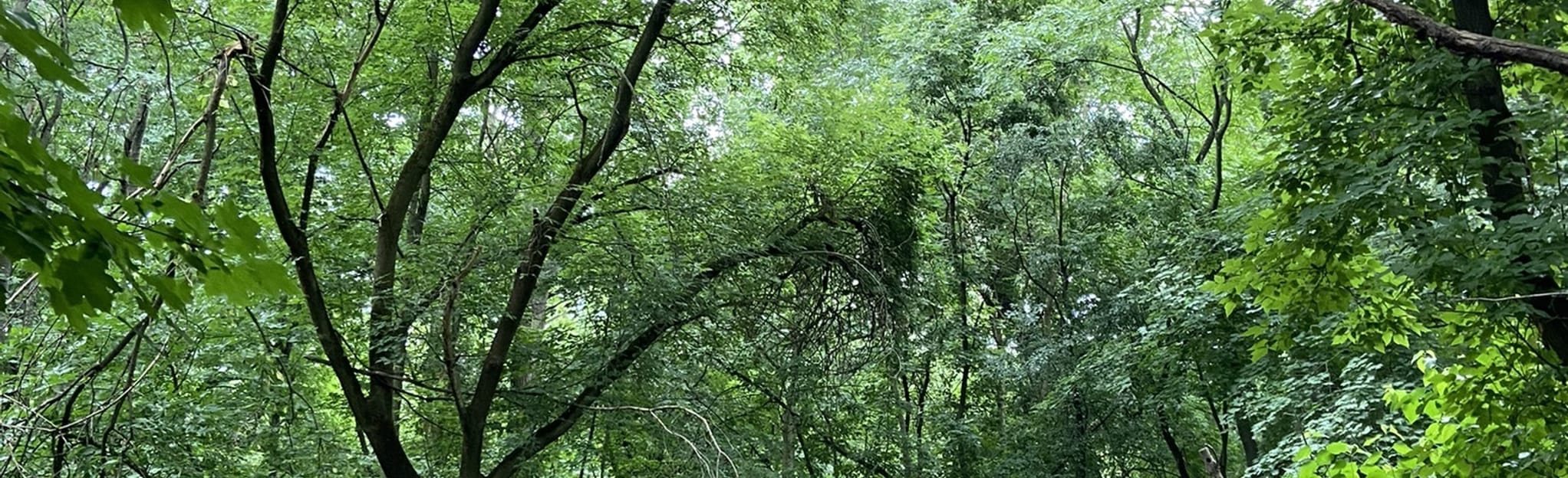 Exploration Trail: 27 Reviews, Map - Ontario, Canada | AllTrails